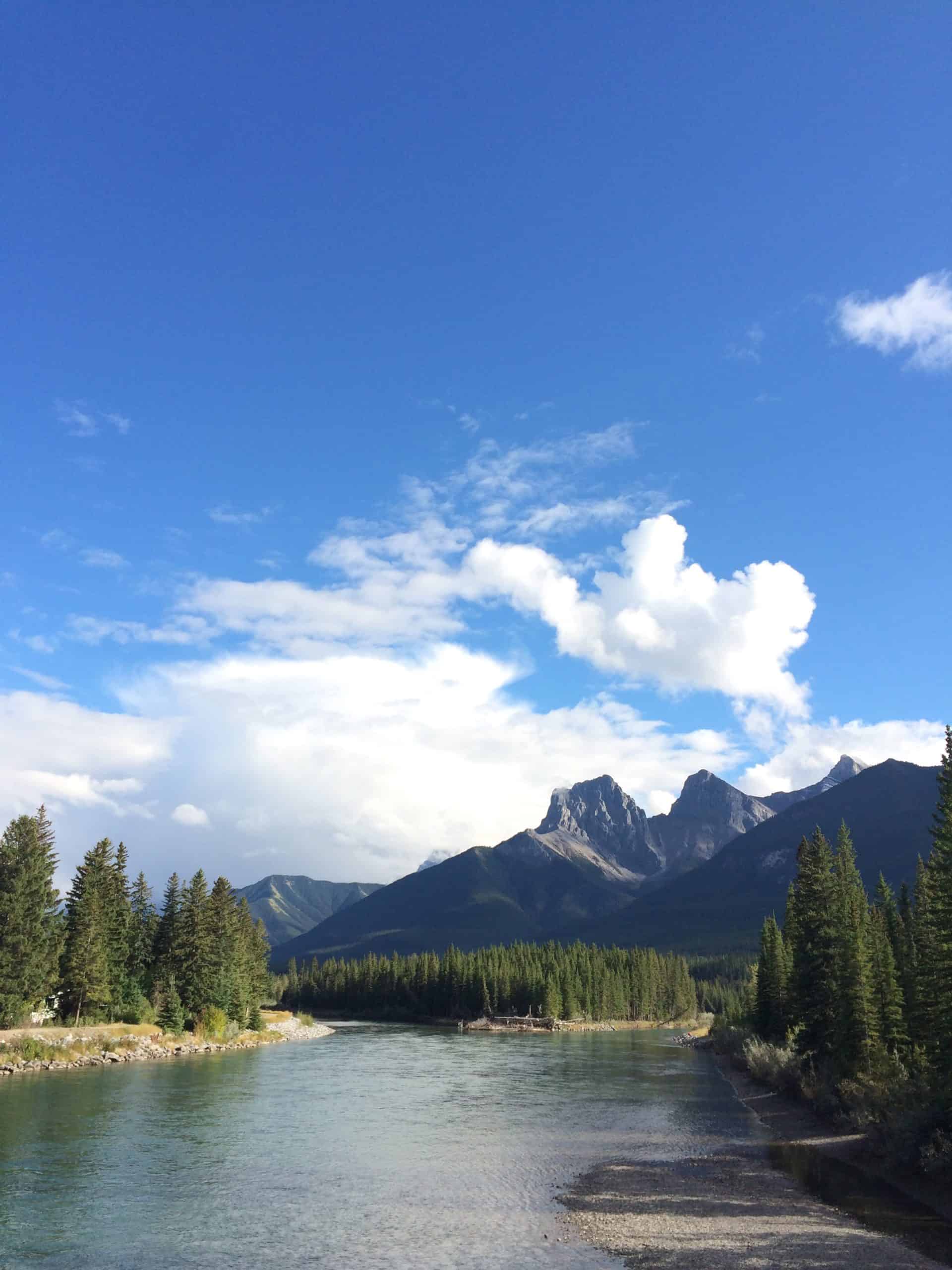 8 Calgary Markets To Check Out 2025 - Shop Local CANADA