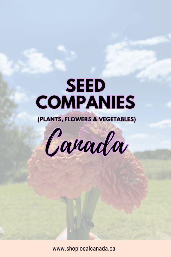 29 Canadian Seed Companies 2026 - Shop Local CANADA